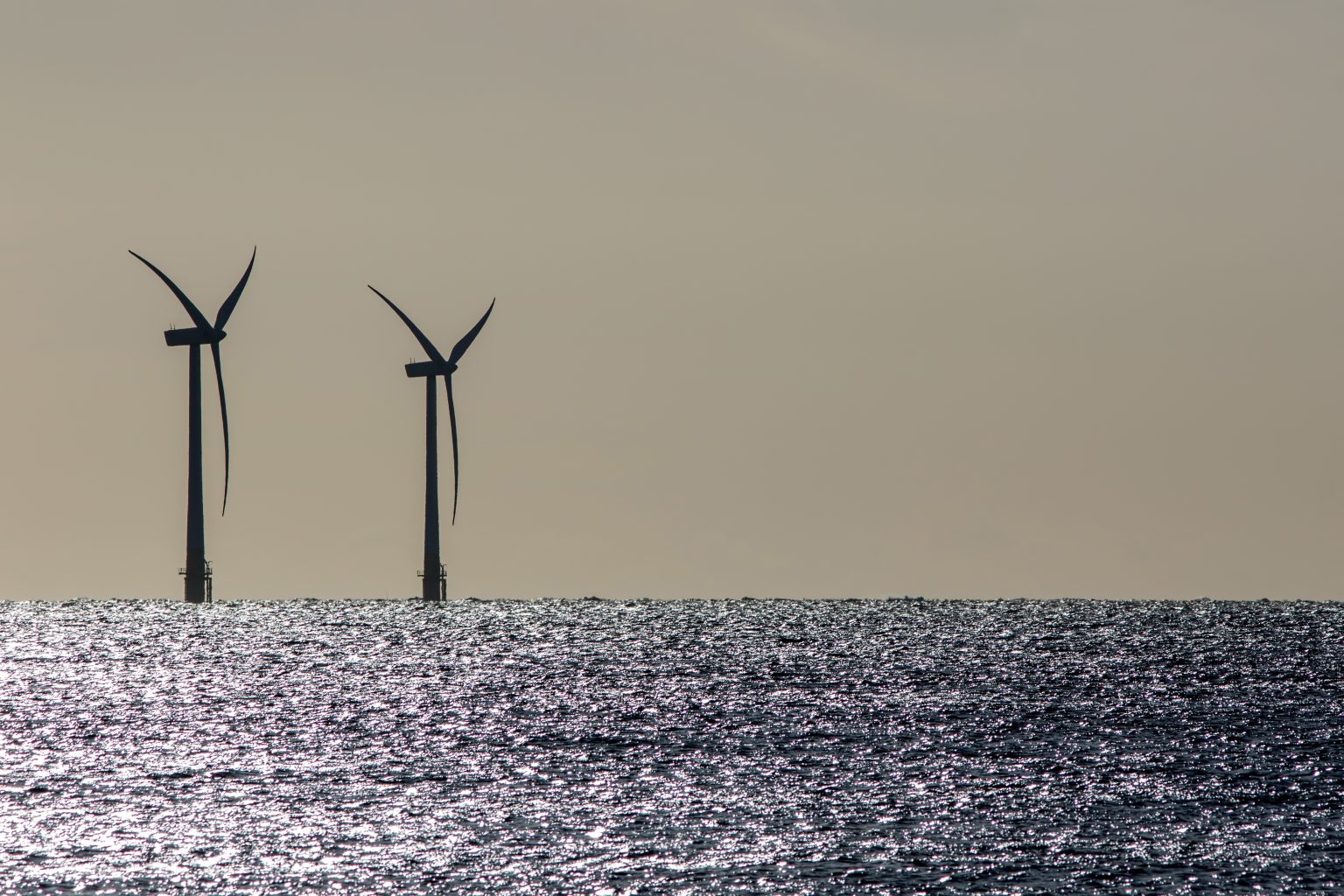 Denmark's Green Tax Reform: G20 Countries Should Take Notice