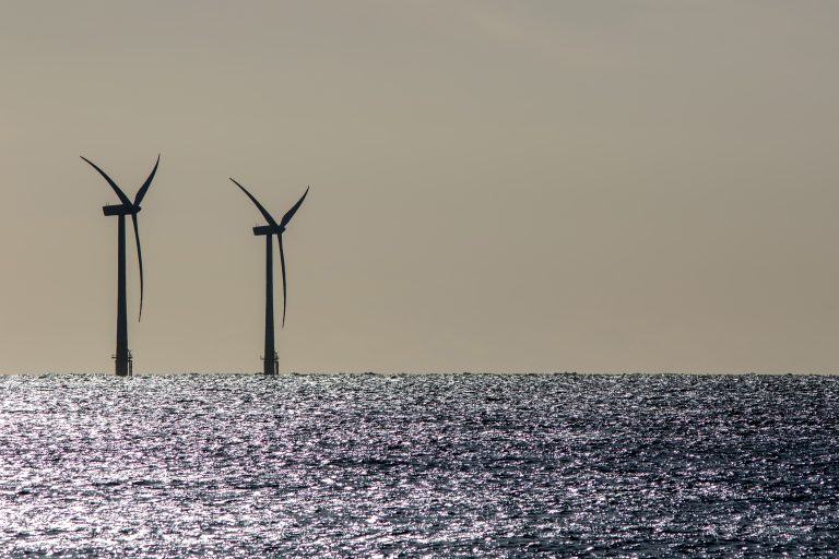 Denmark's Green Tax Reform: G20 Countries Should Take Notice
